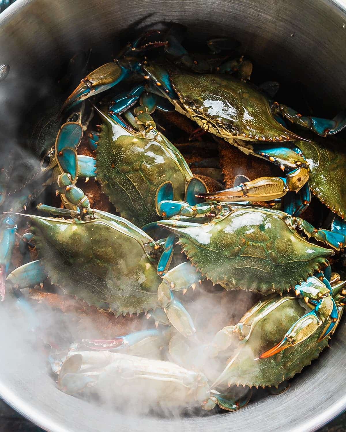 How to Cook Steamed Crabs: Easy Steps for Perfect Flavor - Kitchen