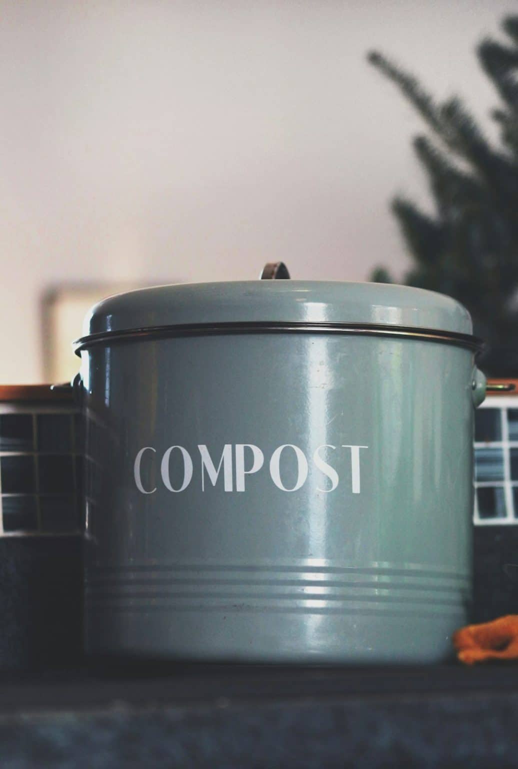 How to Store Kitchen Scraps for Compost: Easy Tips for Success - Kitchen